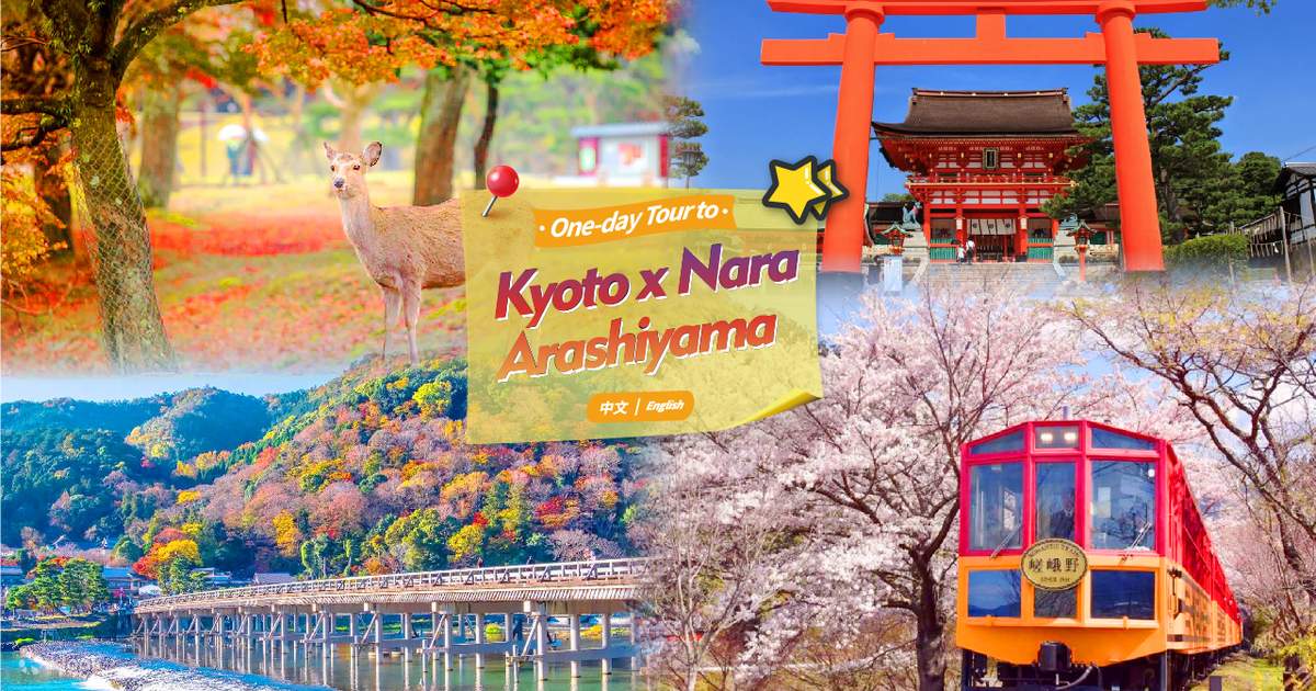 [Kyoto & Arashiyama & Nara] Nara Park & Fushimi Inari Shrine & Fushimi Chiikawa Honpo ...